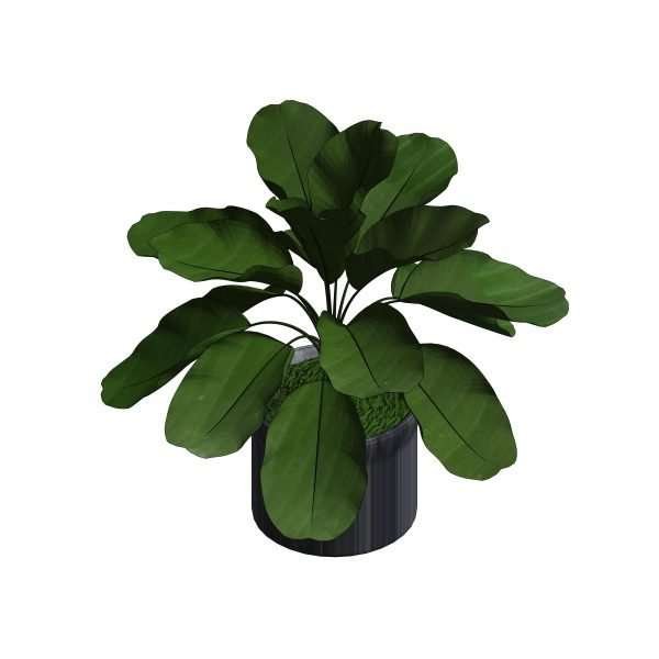 Revit Potted Plants 17 – Model And Object