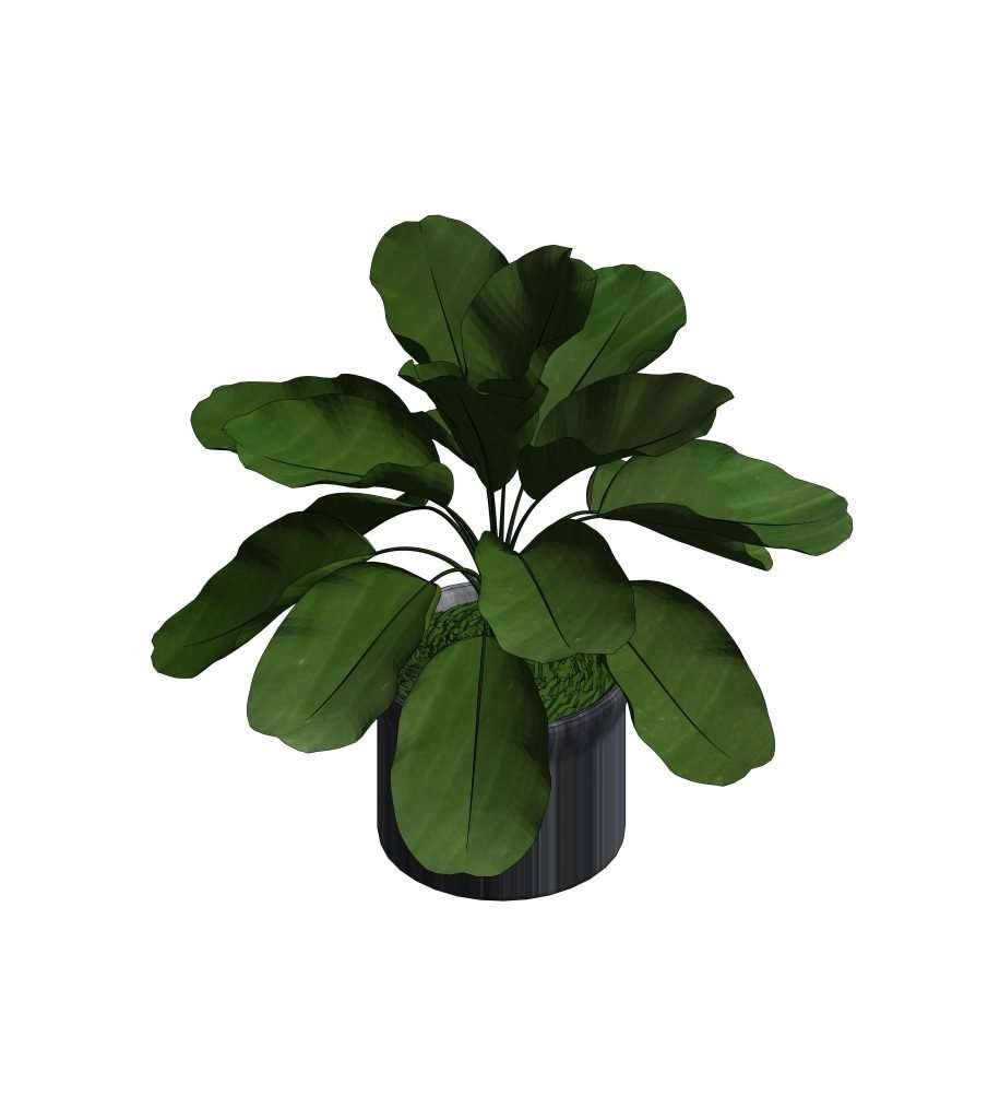 Revit Potted Plants 8 – Model And Object