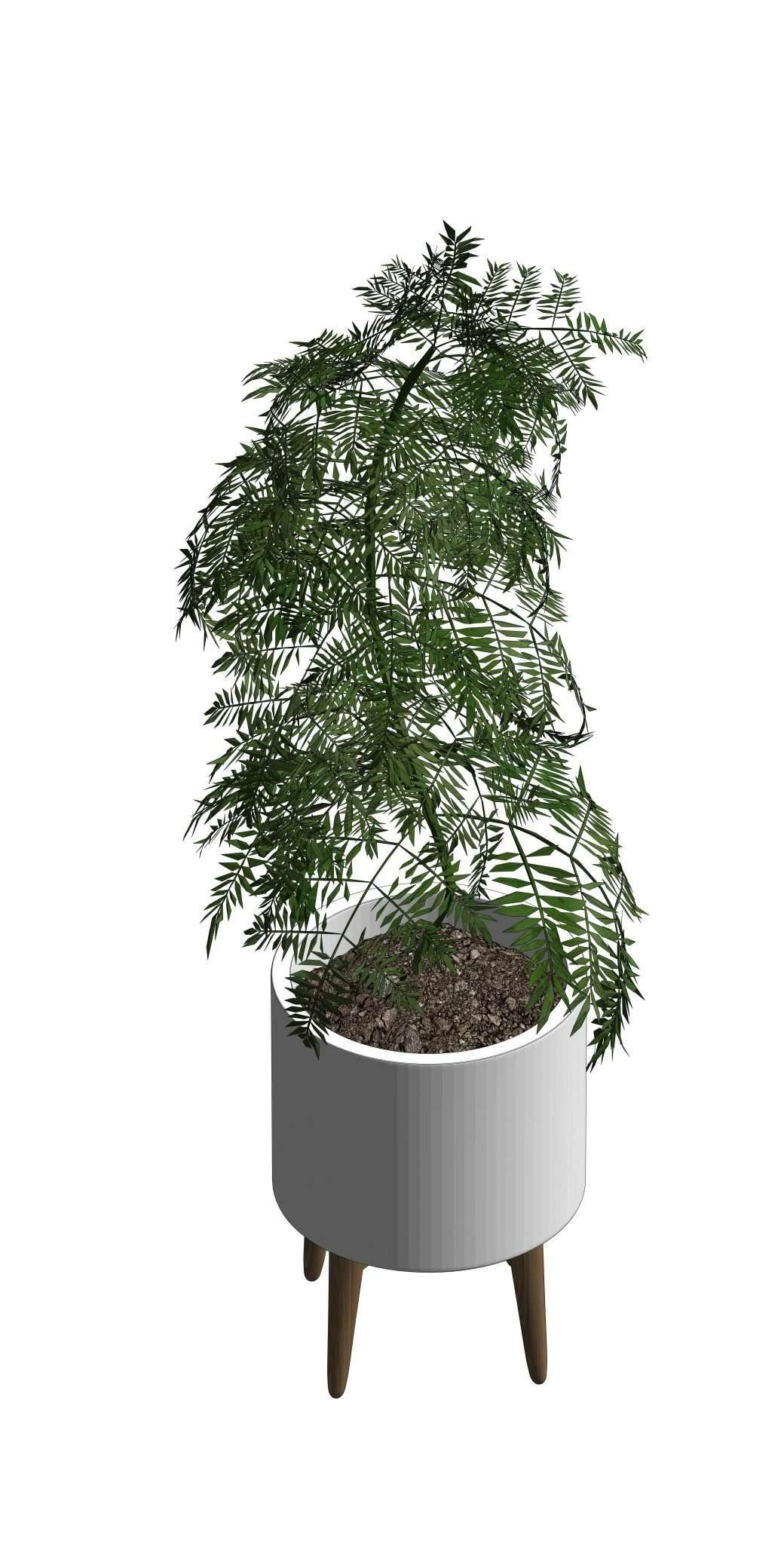 Revit Potted Plants 9 – Model And Object