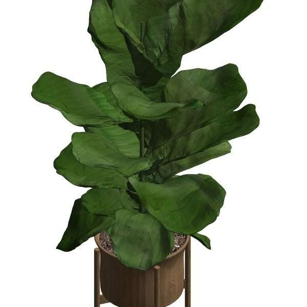 Revit Potted Plants 17 – Model And Object