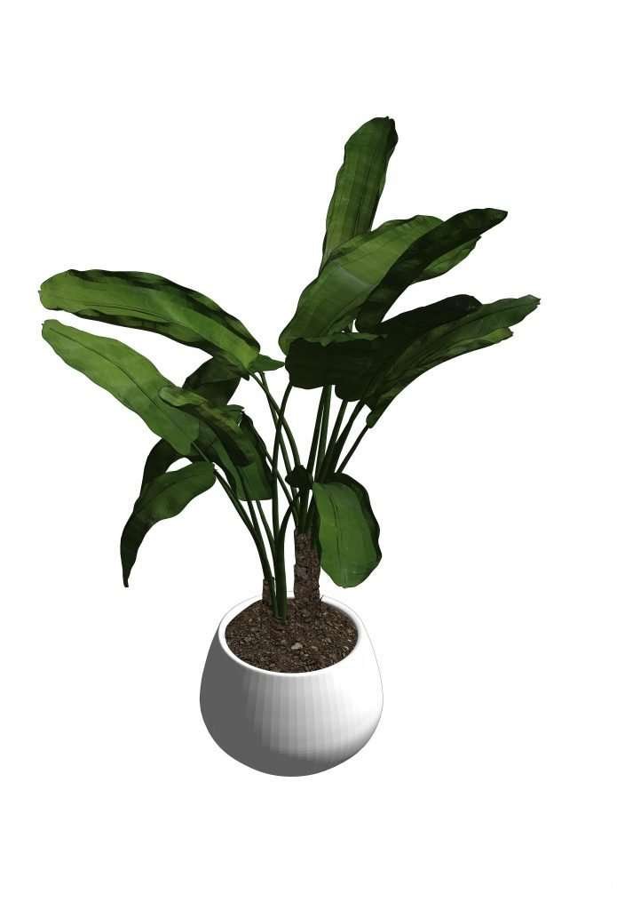 Revit Potted Plants 19 – Model And Object