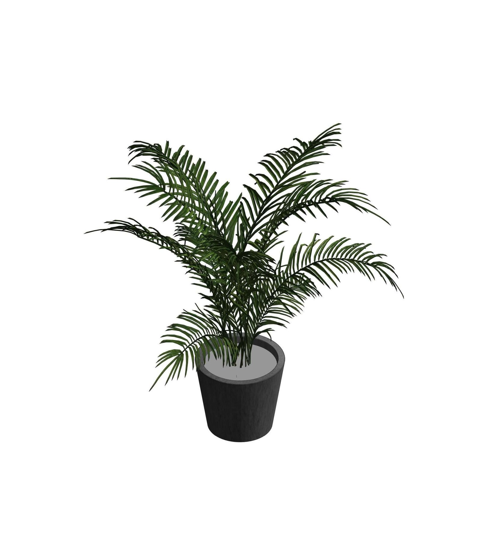 Revit Potted Plants 30 – Model And Object