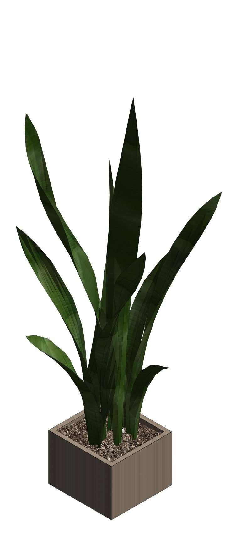 Revit Potted Plants 36 – Model And Object