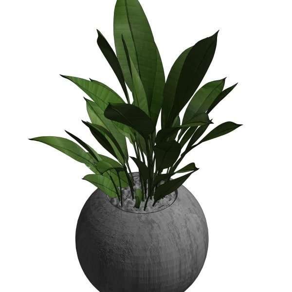 Revit Potted Plants 6 – Model And Object