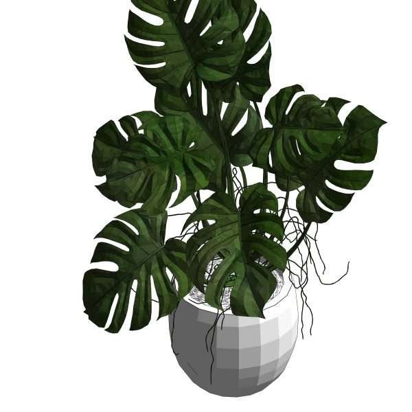 Revit Potted Plants 45 – Model And Object
