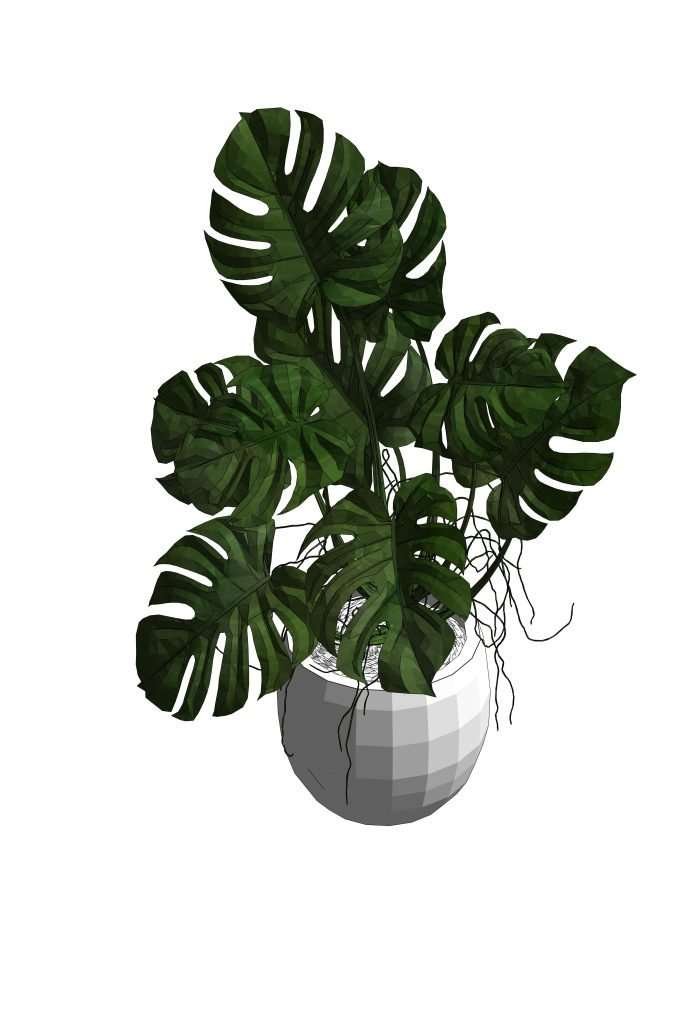 Revit Potted Plants 6 – Model And Object