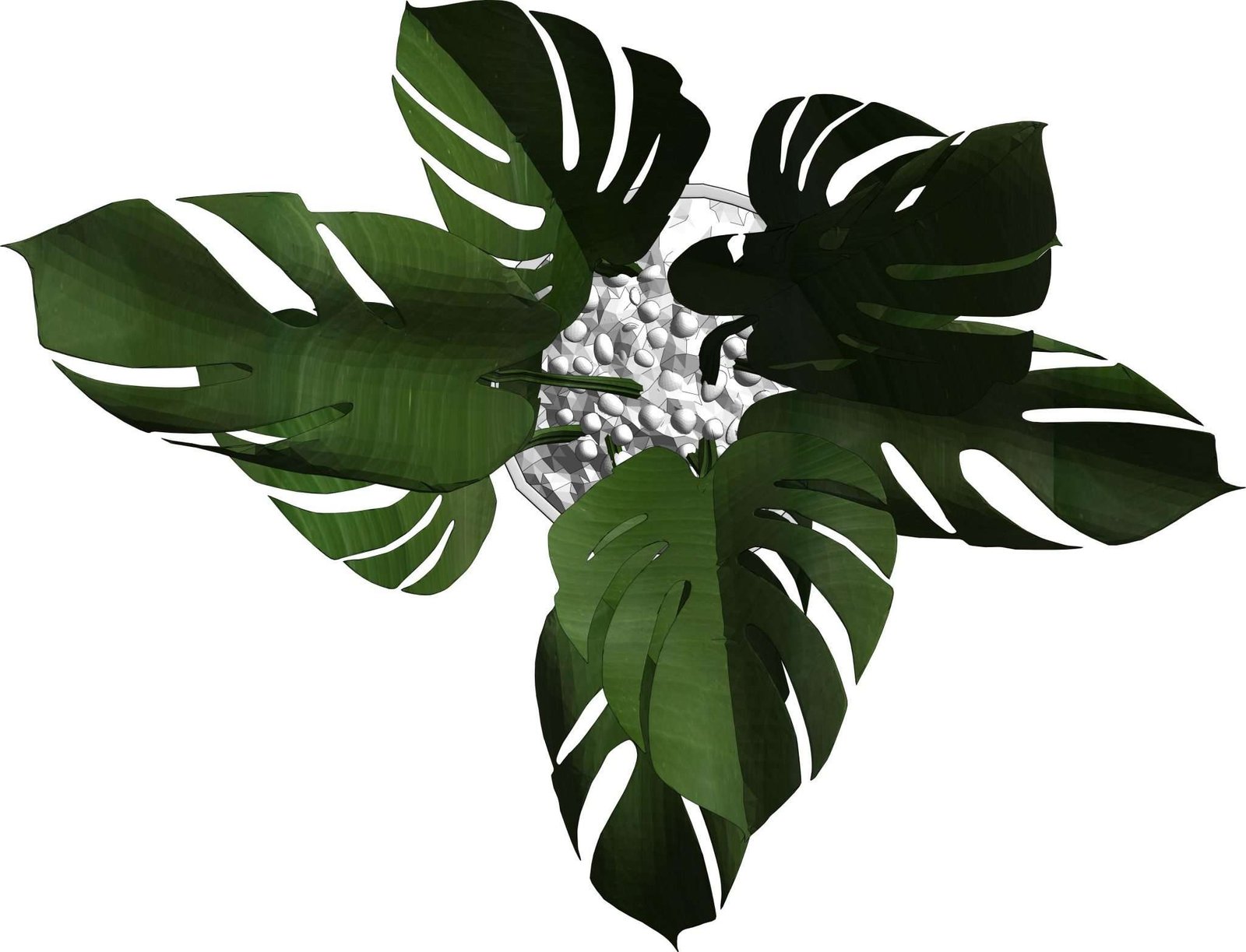 Revit Potted Plants 40 – Model And Object