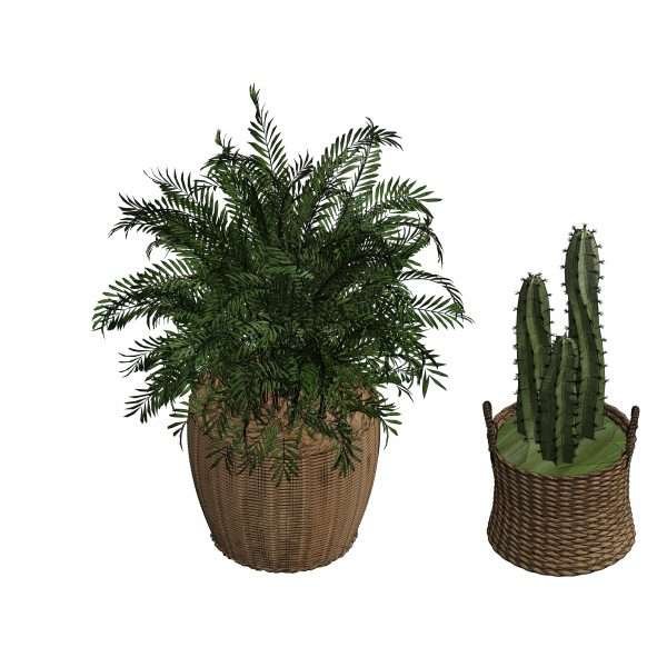 Revit Potted Plants 17 – Model And Object