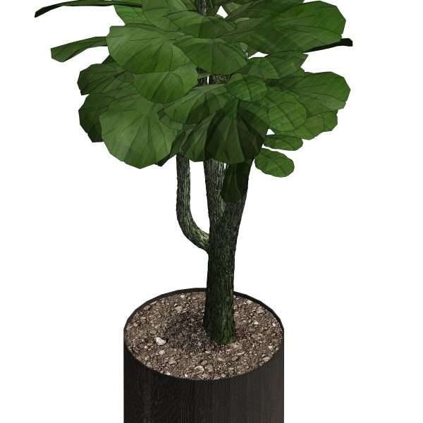 Revit Potted Plants 17 – Model And Object