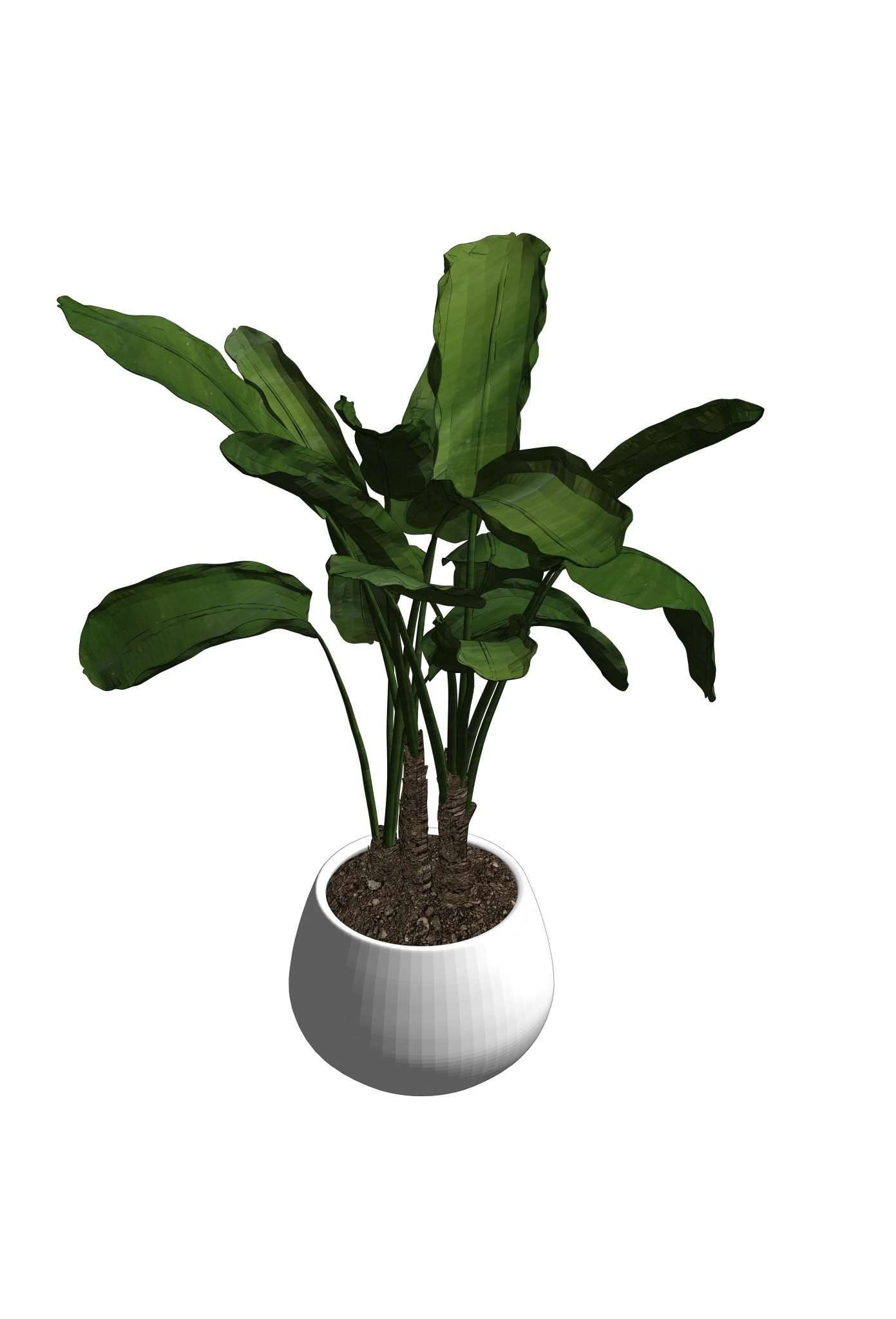 Revit Potted Plants 19 – Model And Object