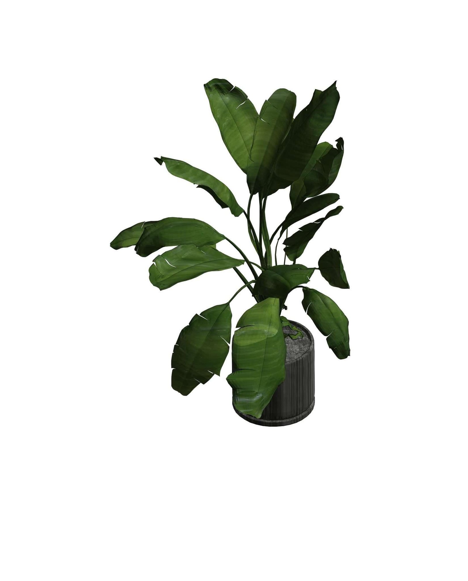 Revit Potted Plants 25 – Model And Object