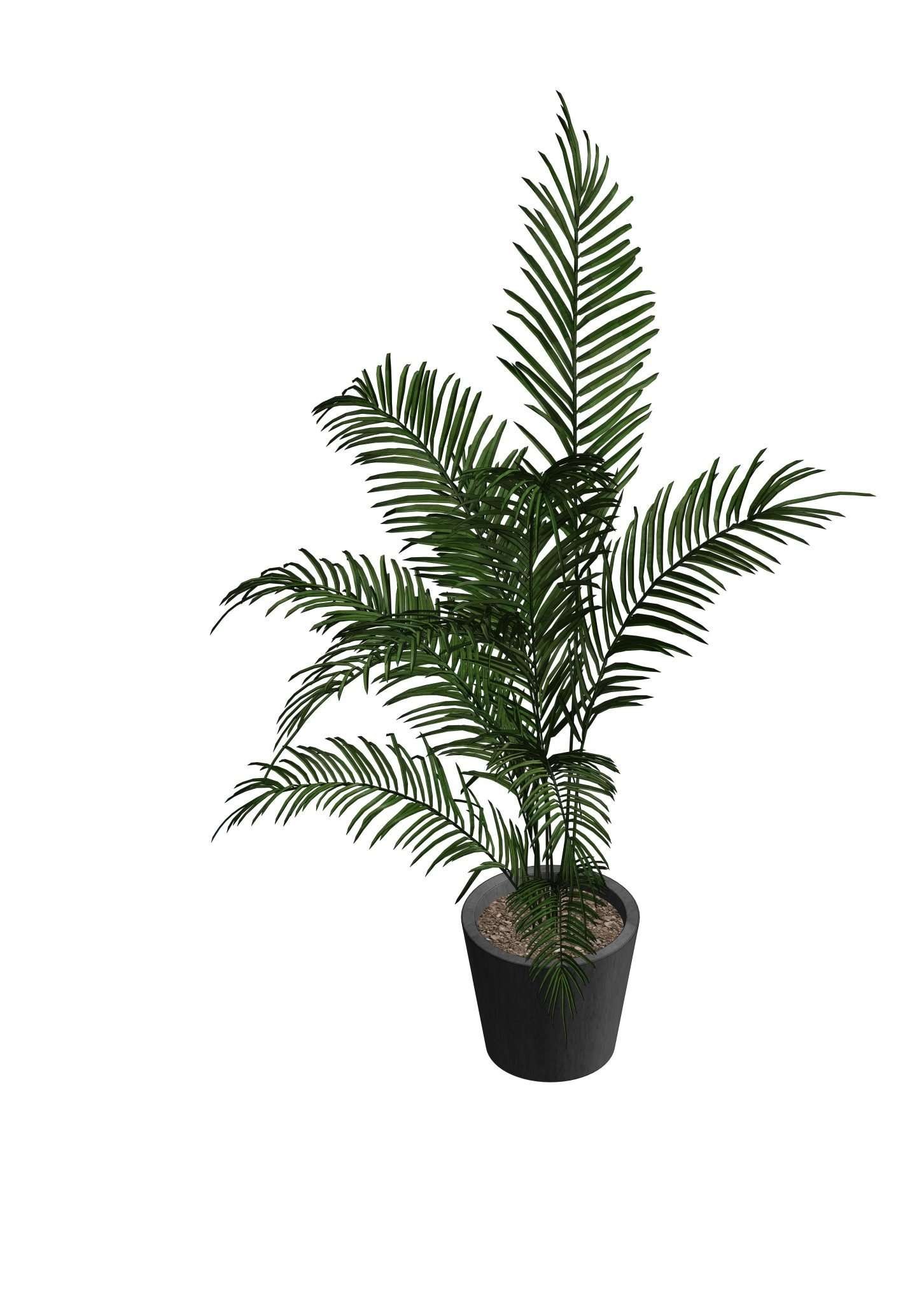 Revit Potted Plants 27 – Model And Object