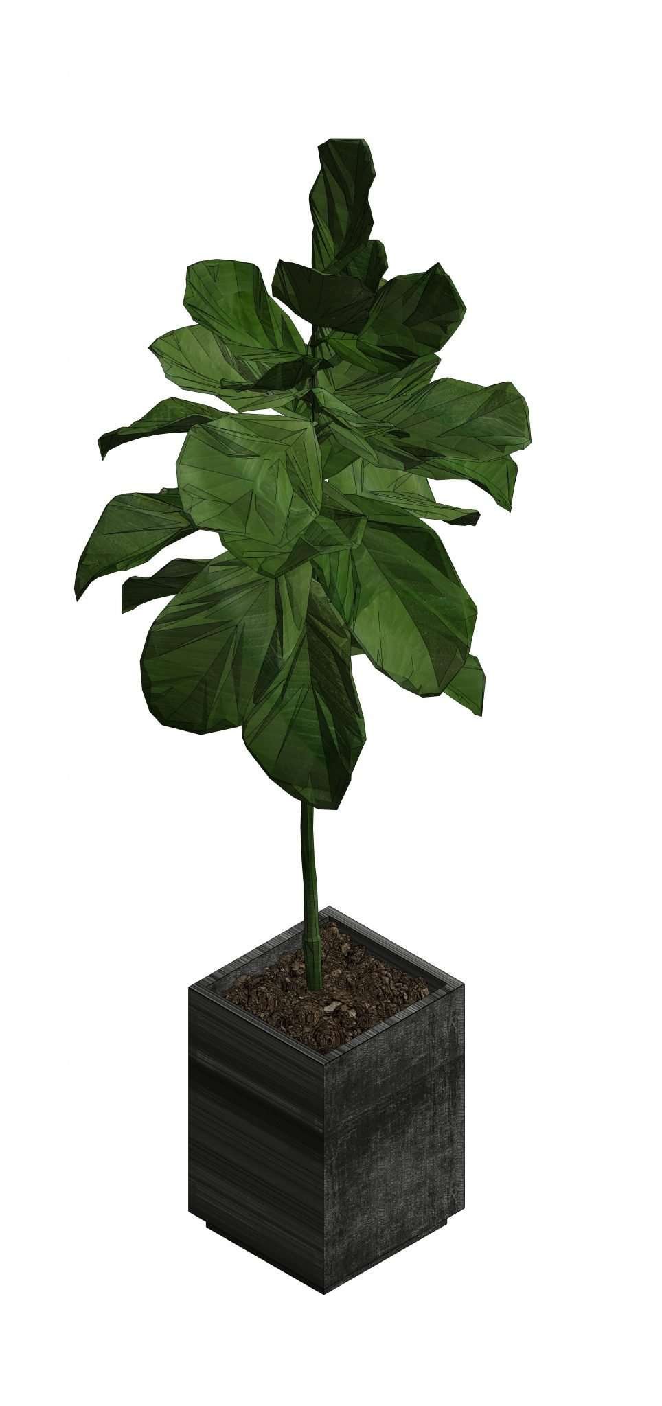 Revit Potted Plants 32 – Model And Object