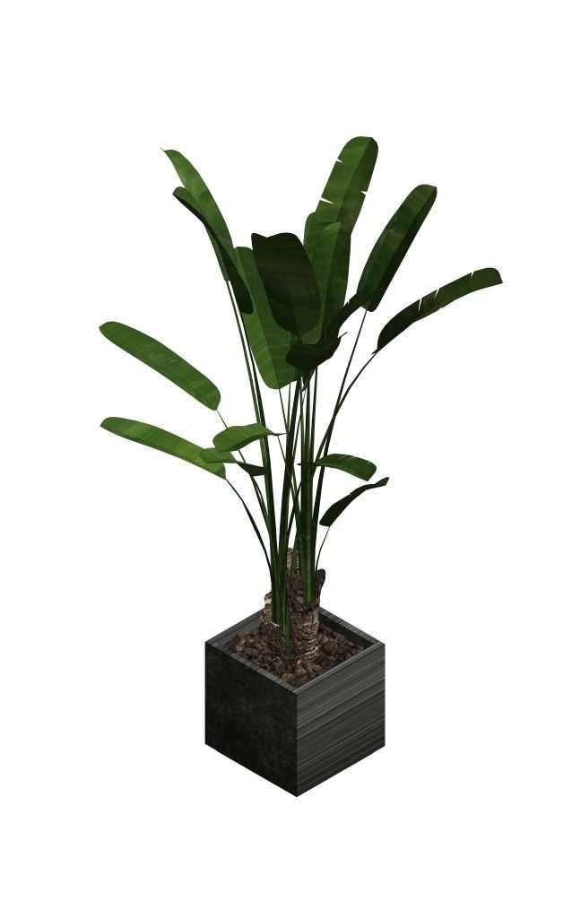 Revit Potted Plants 35 – Model And Object