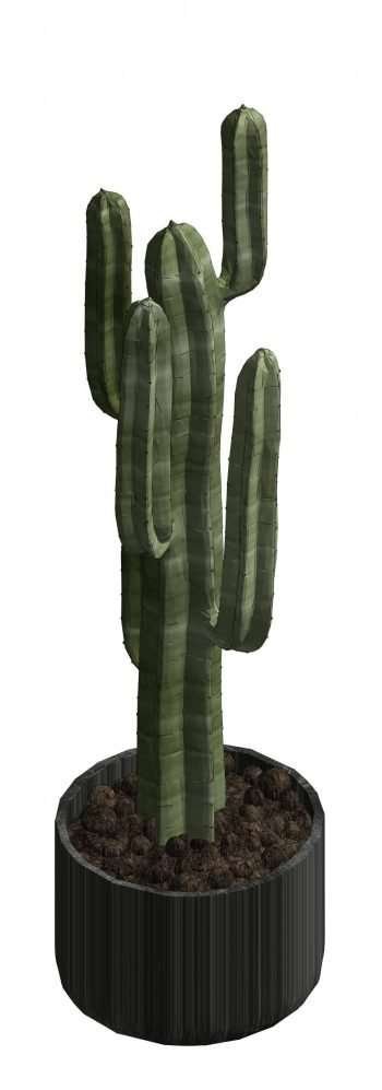 Revit Potted Plants 38 – Model And Object