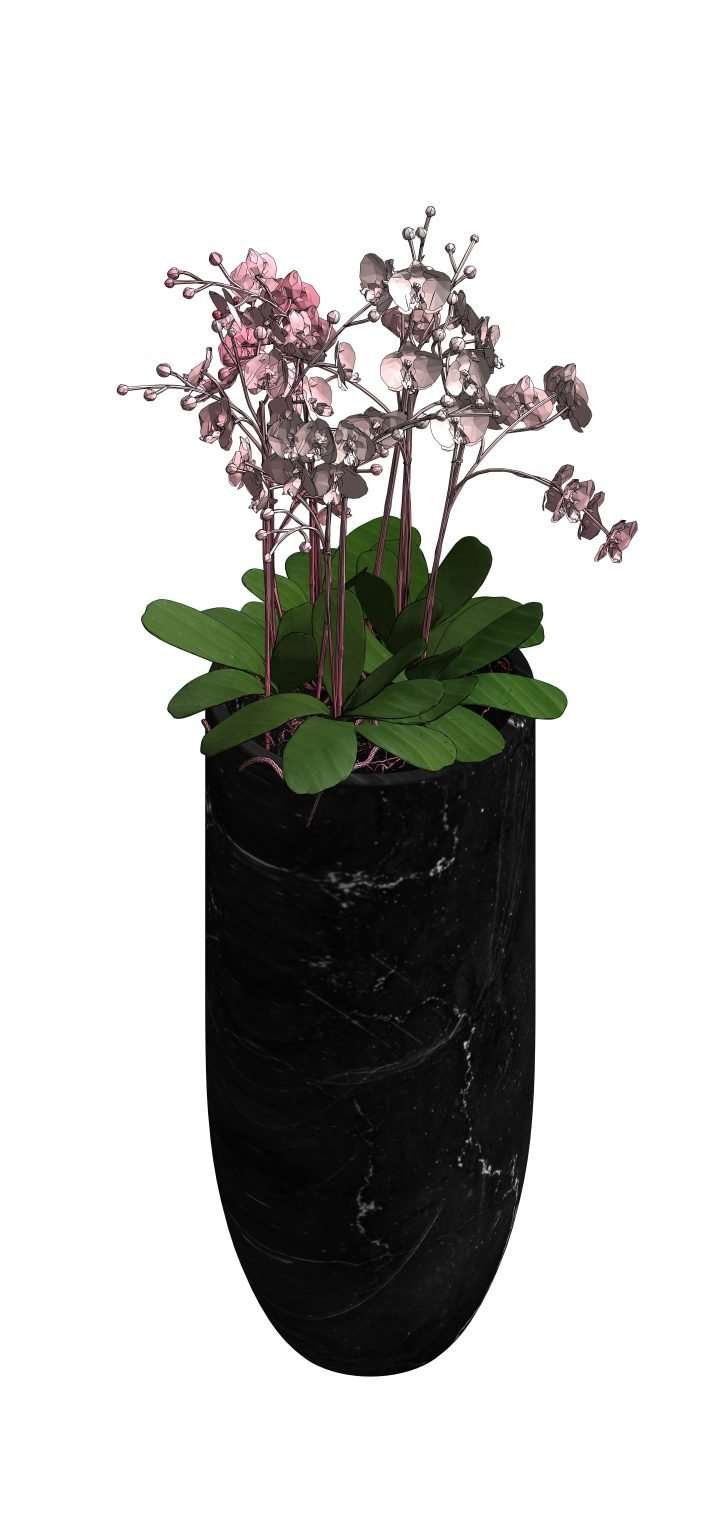 Revit Potted Plants 11 – Model And Object