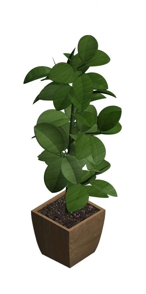Revit Potted Plants 12 – Model And Object