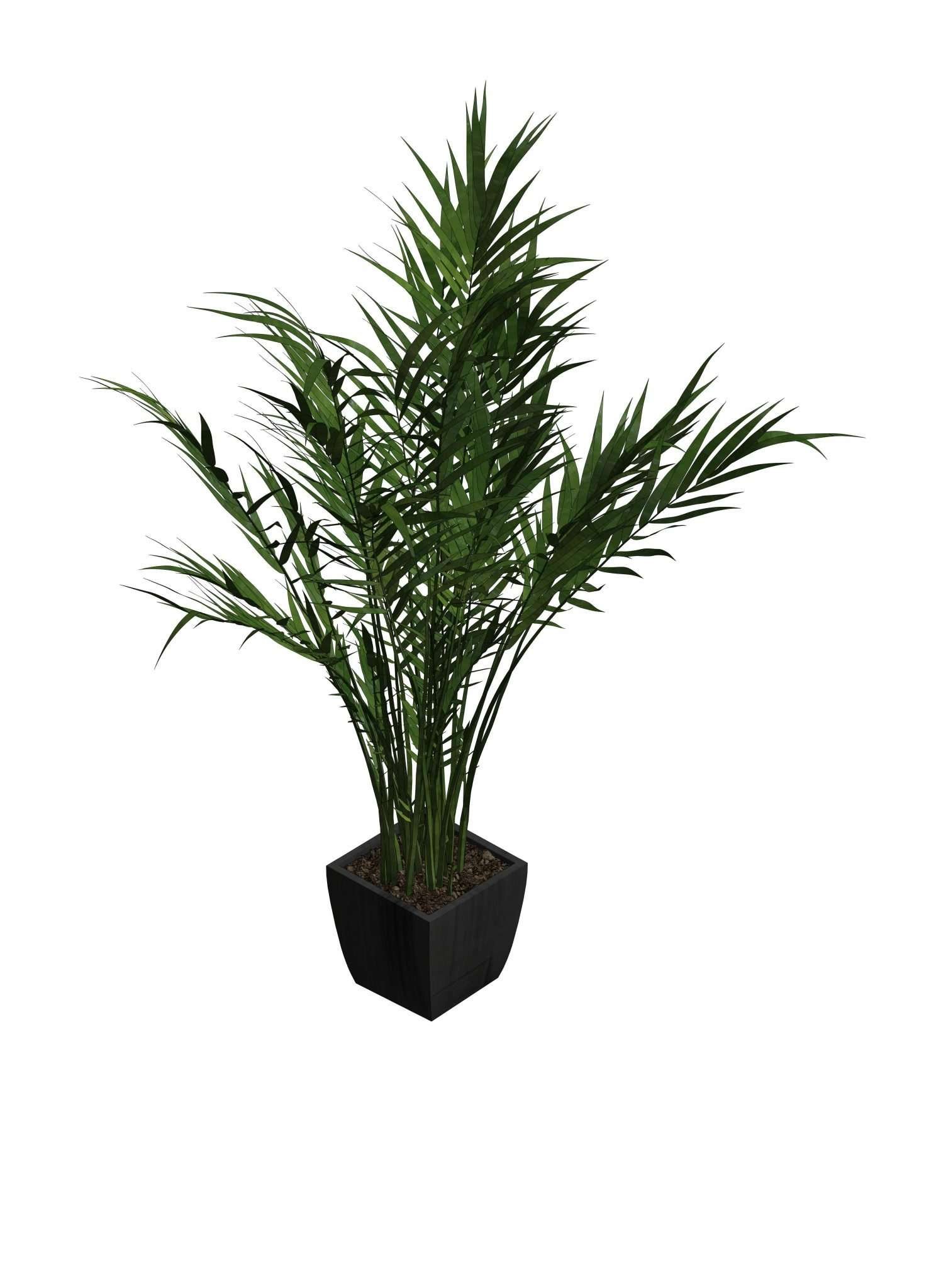 Revit Potted Plants 14 – Model And Object