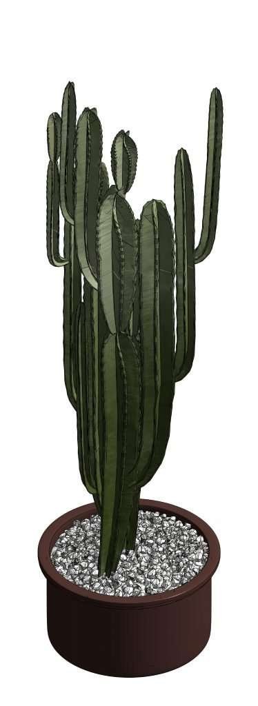 Revit Potted Plants 46 – Model And Object