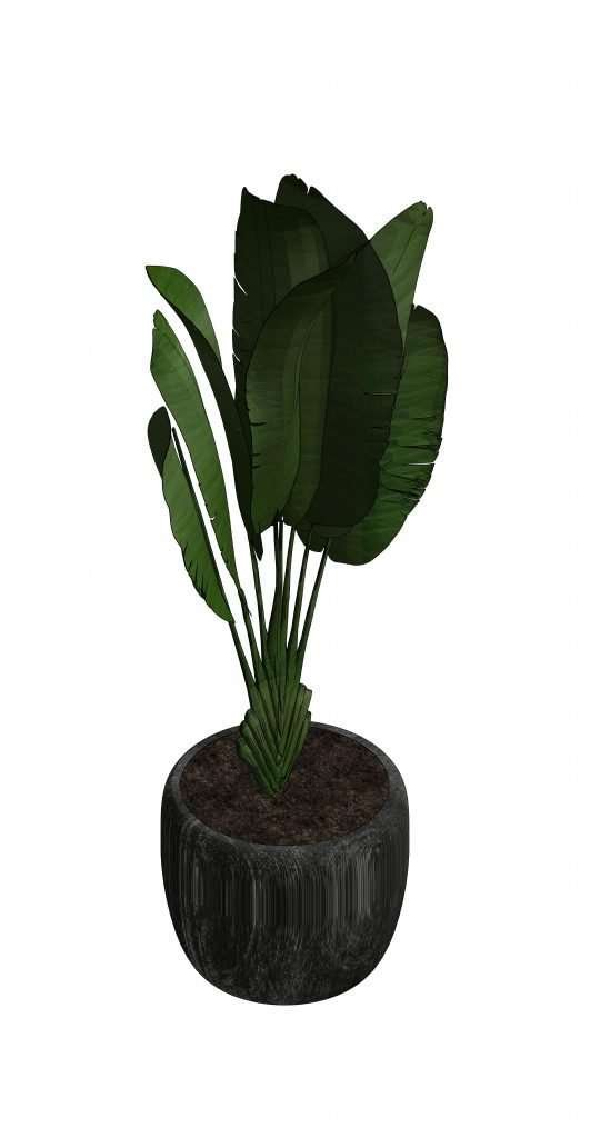 Revit Potted Plants 48 – Model And Object