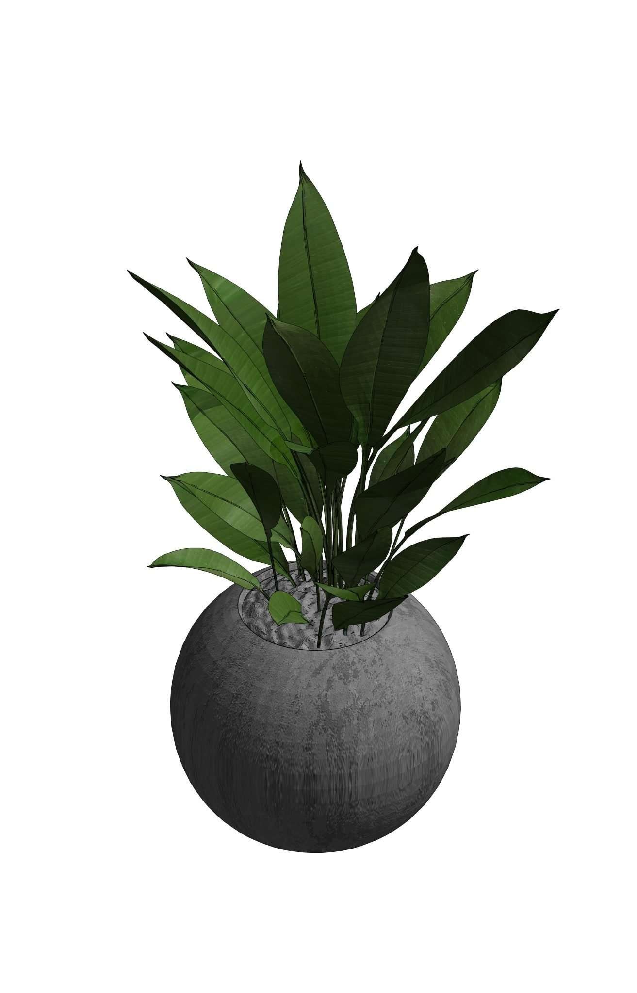 Revit Potted Plants 5 – Model And Object