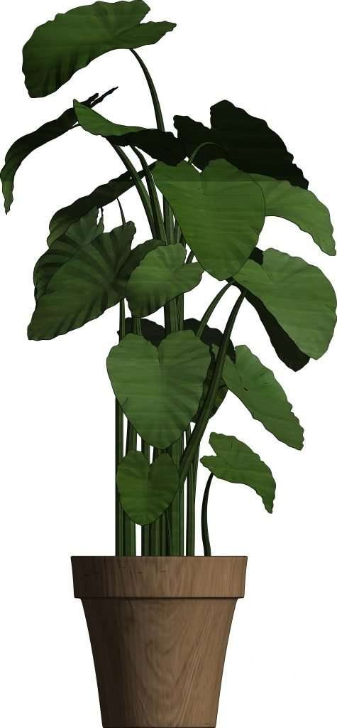 Revit Potted Plants 26 – Model And Object