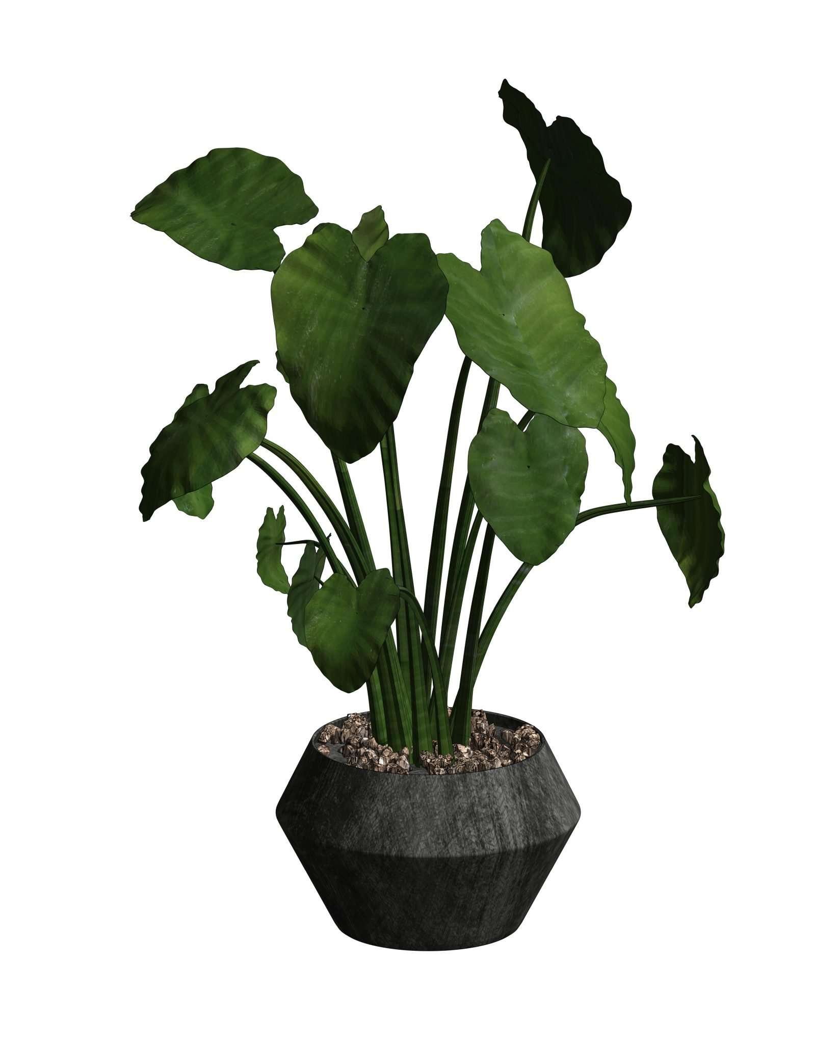 Revit Potted Plants 29 – Model And Object