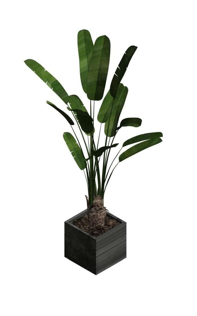 Revit Potted Plants 35 – Model And Object