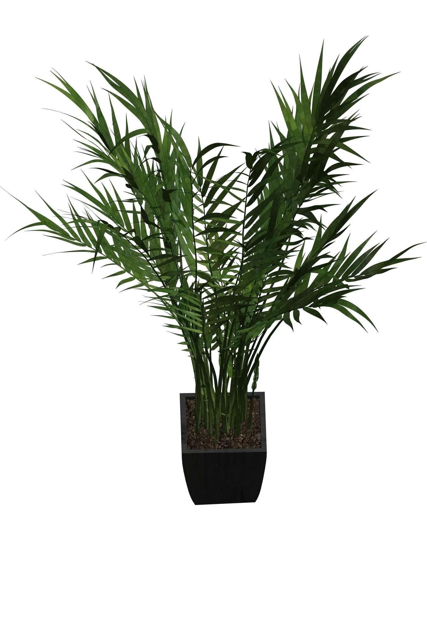 Revit Potted Plants 14 – Model And Object