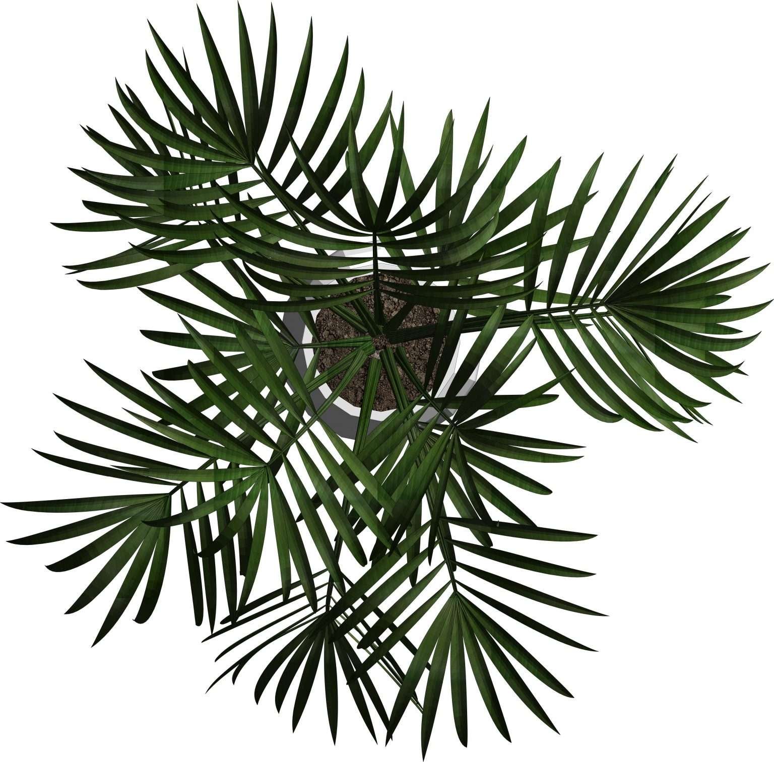 Revit Potted Plants 20 – Model And Object