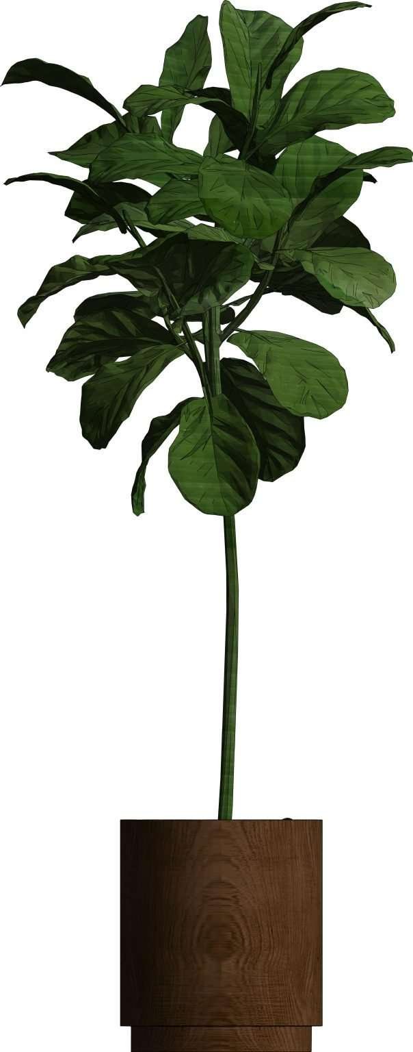 Revit Potted Plants 34 – Model And Object