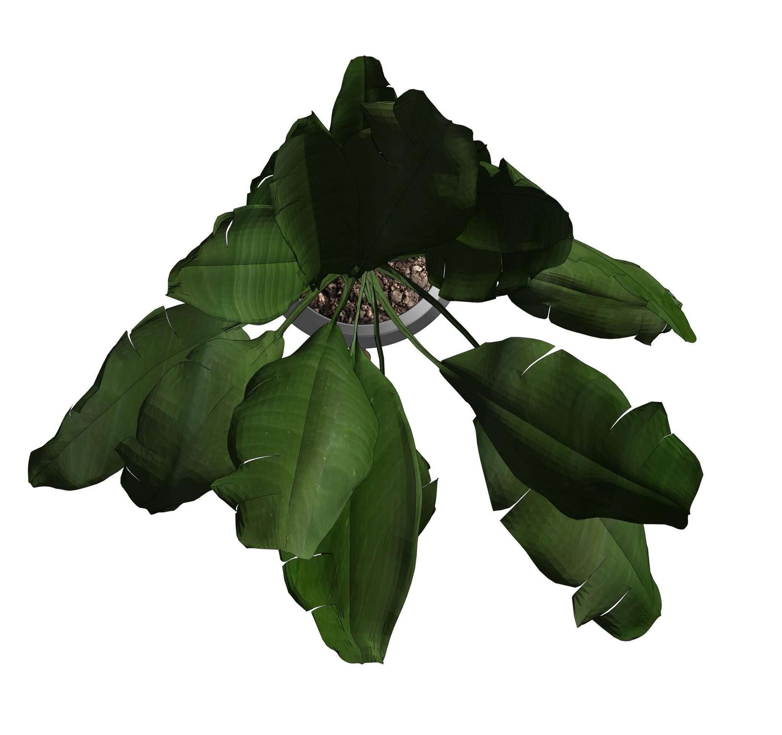 Revit Potted Plants 1 – Model And Object