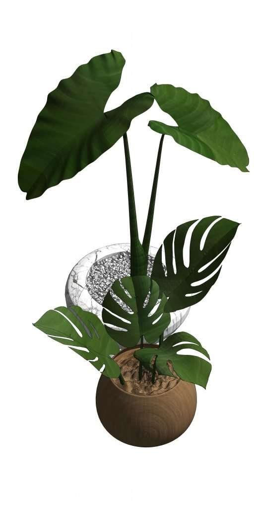 Revit Potted Plants 4 – Model And Object