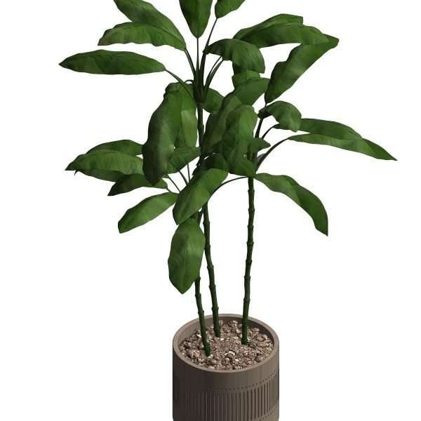 Revit Potted Plants 17 - Model And Object