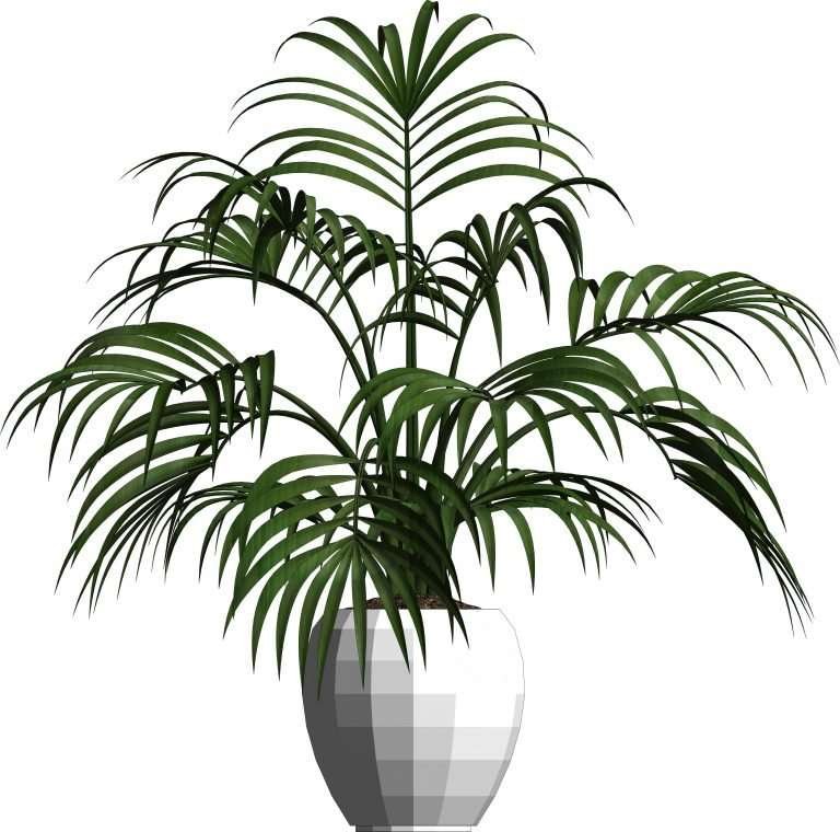 Revit Potted Plants 20 – Model And Object