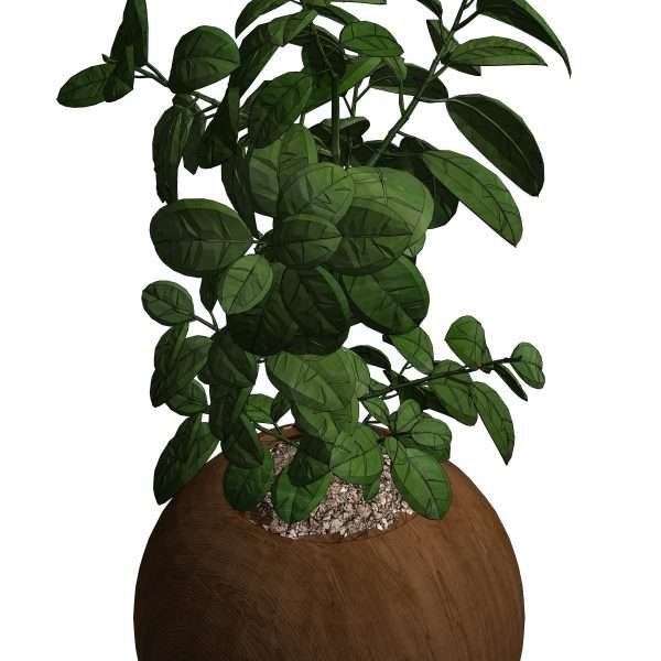 Revit Potted Plants 4 – Model And Object