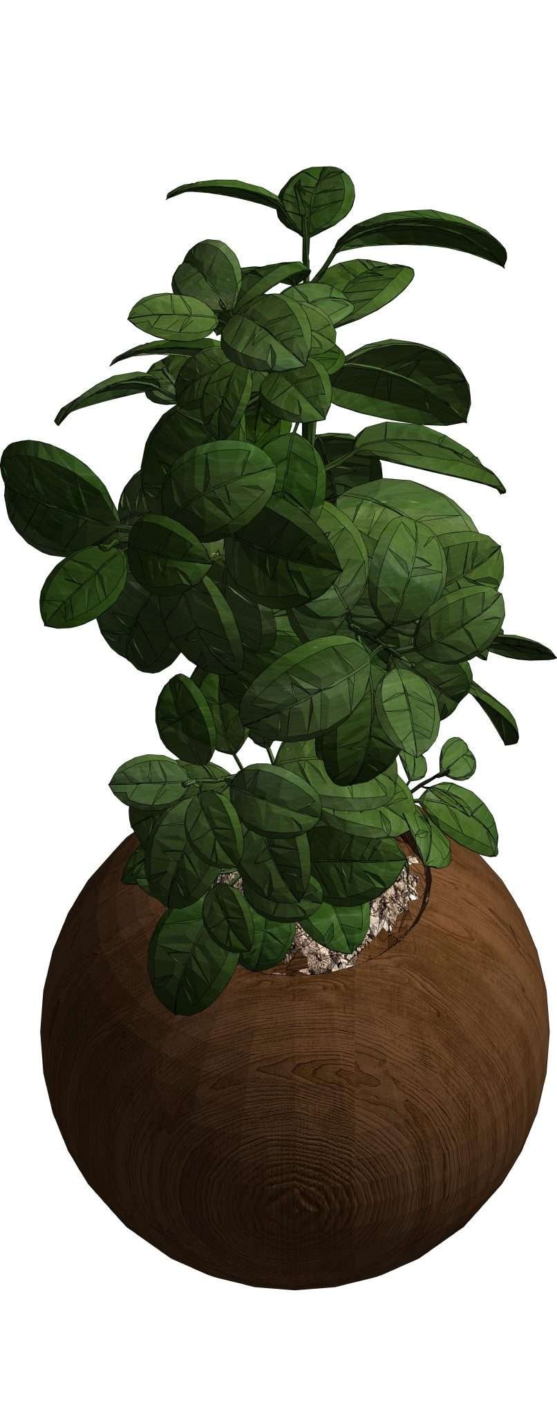 Revit Potted Plants 3 – Model And Object