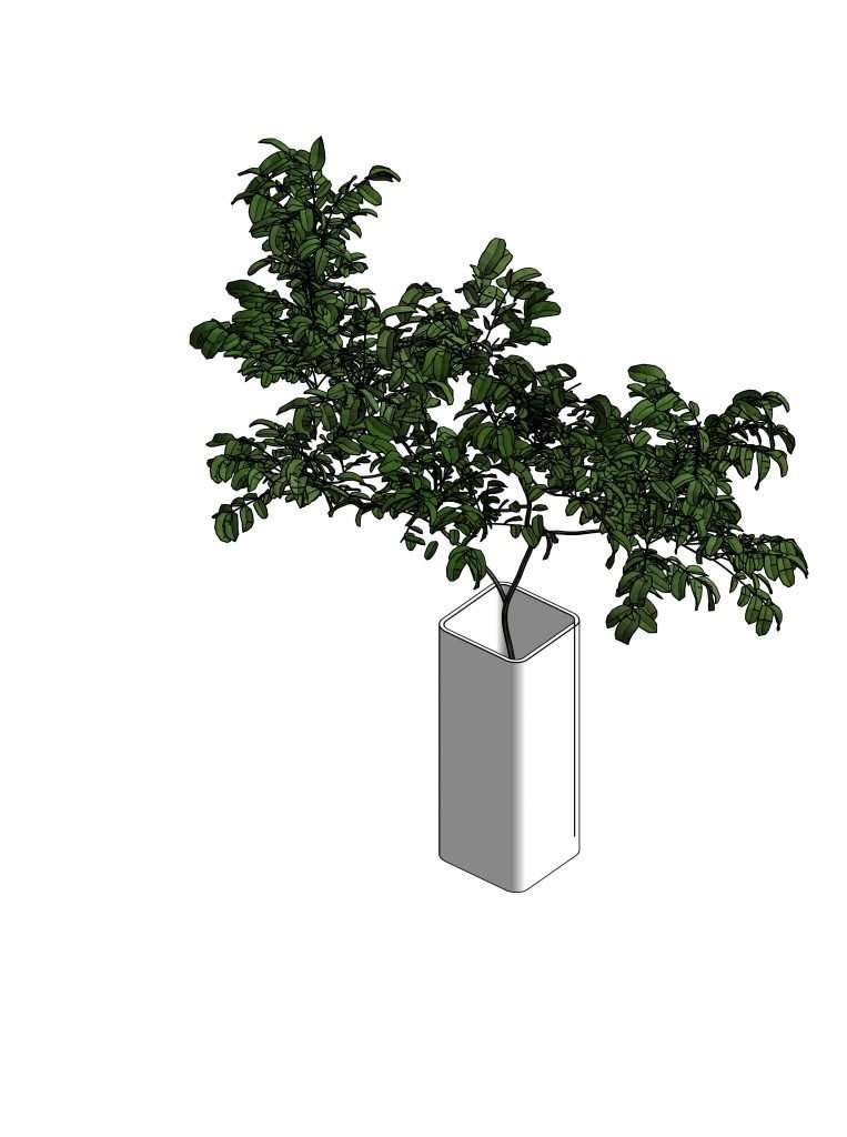 Revit Potted Plants 51 – Model And Object