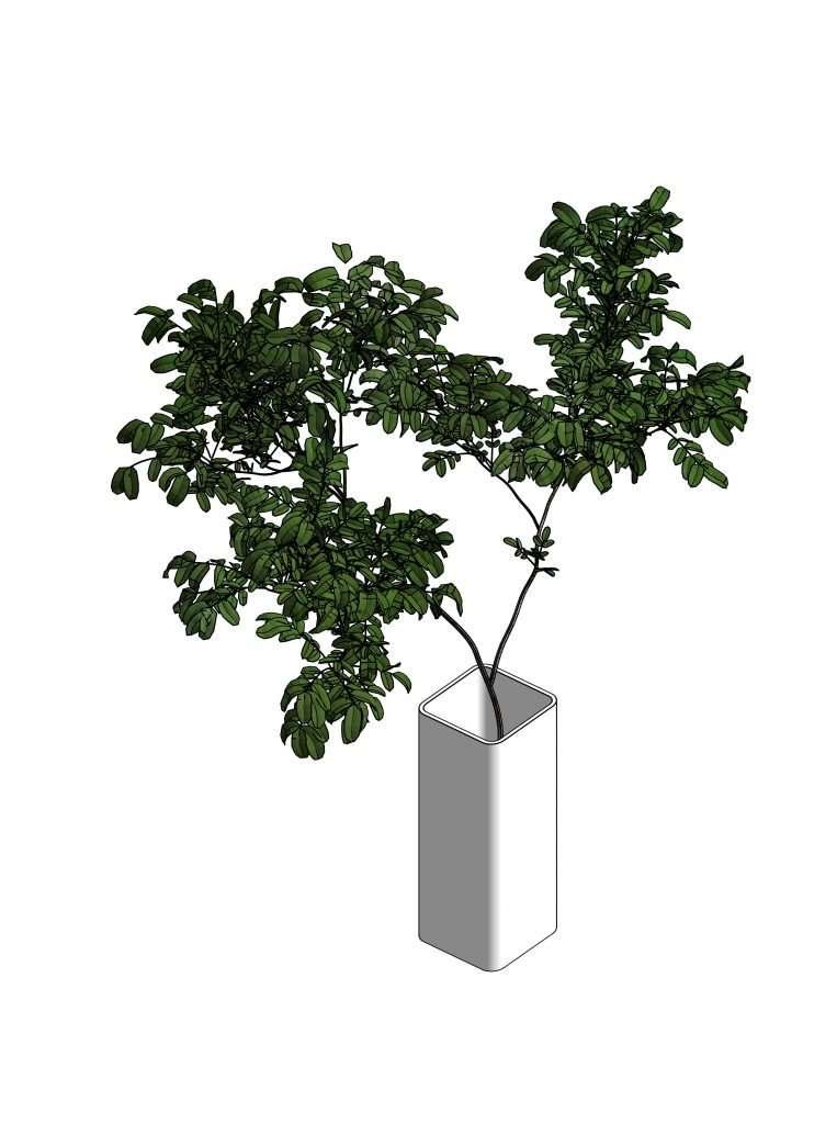 Revit Potted Plants 51 – Model And Object