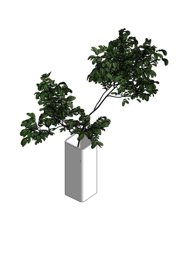Revit Potted Plants 51 – Model And Object