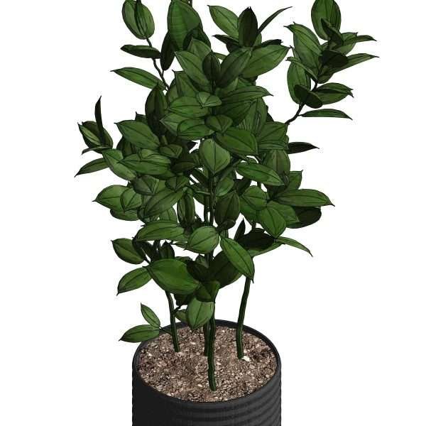 revit plant - Model And Object