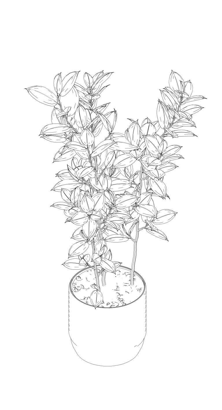 Revit Potted Plants 50 – Model And Object